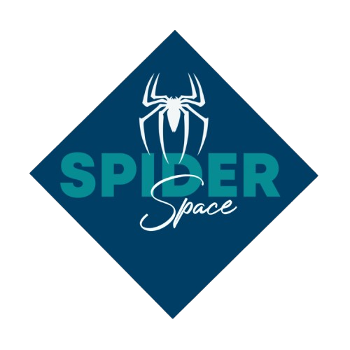 Spider Space